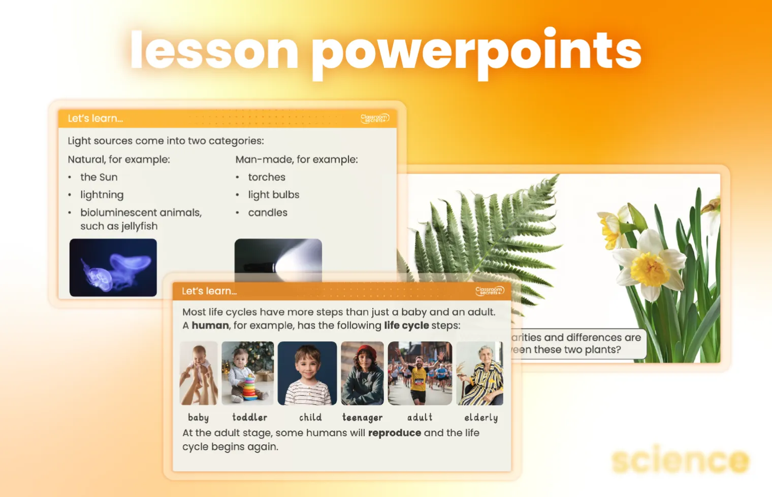 Science - Lesson Powerpoints