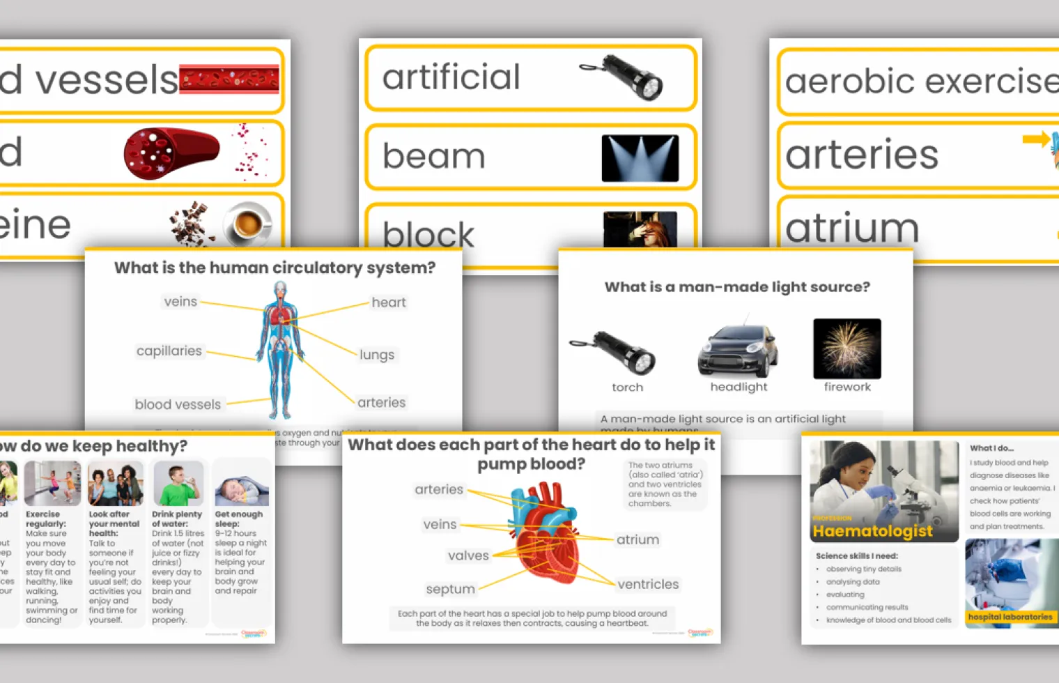 Science Display Packs