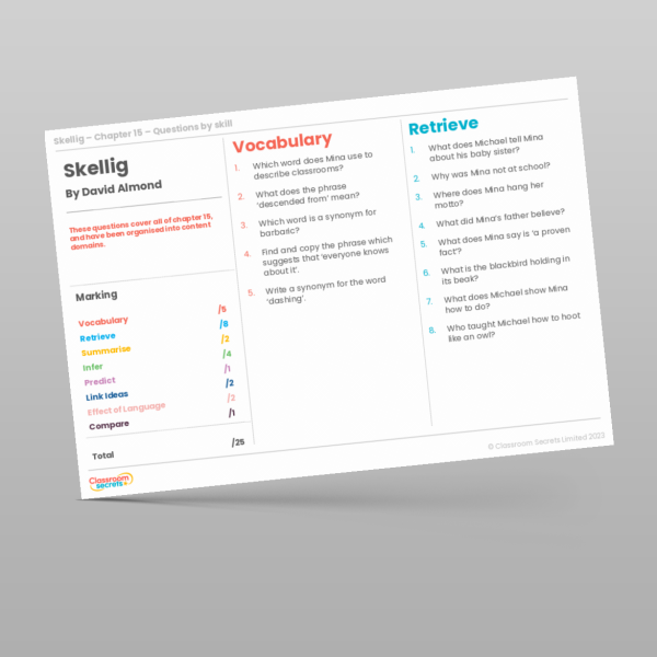 UKS2 Reading Skills Skellig Chapter 15 Resource | Classroom Secrets