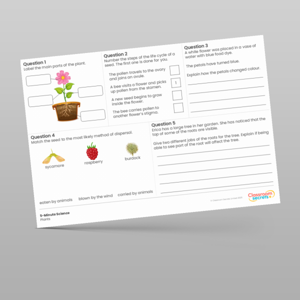 Year 3 Plants 5 Minute Science Resource | Classroom Secrets