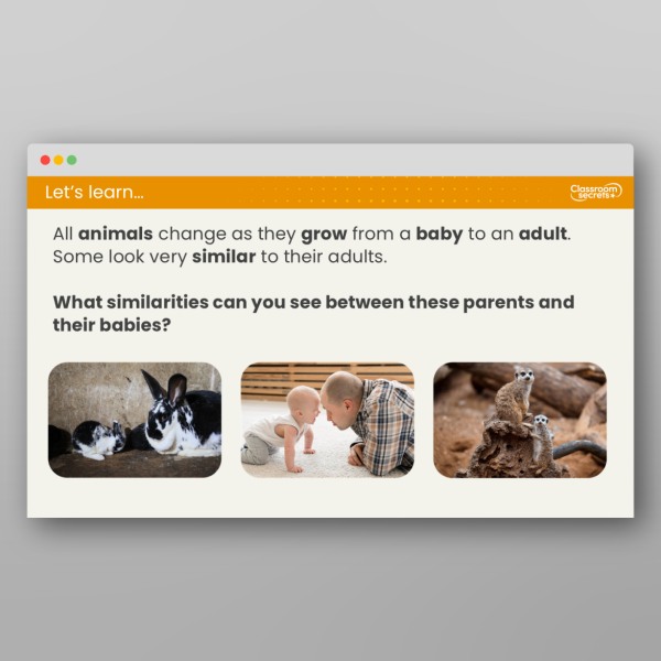 Year 2 How Do Animals And Humans Change Over Time Lesson Resource ...
