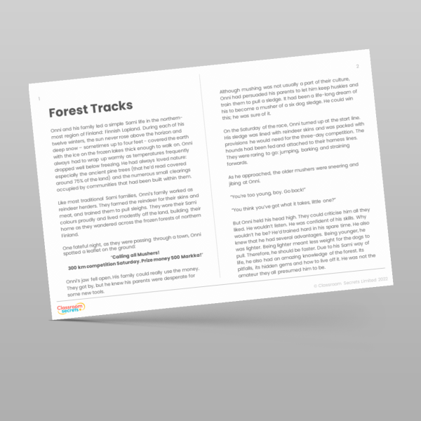 Year 6 Reading Skills Forest Tracks Resource | Classroom Secrets