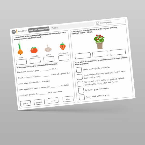 Year 2 Plants Post Unit Assessment Resource | Classroom Secrets