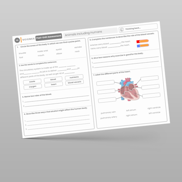 Year 6 Animals Including Humans Post Unit Assessment Resource ...