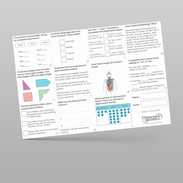 Year 4 Early Morning Work Autumn Week 3 Resource | Classroom Secrets