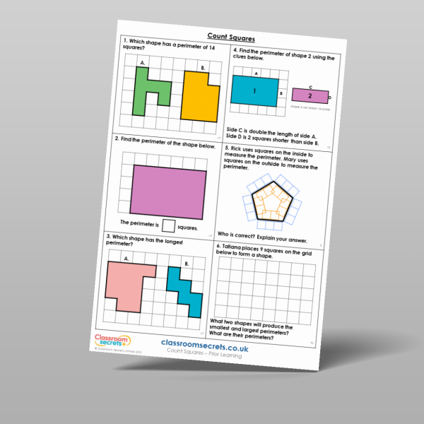 Year 4 Counting Squares Prior Learning Resource | Classroom Secrets
