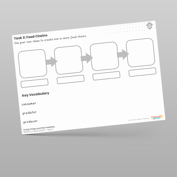 Year 2 What Is A Food Chain Worksheet Resource | Classroom Secrets