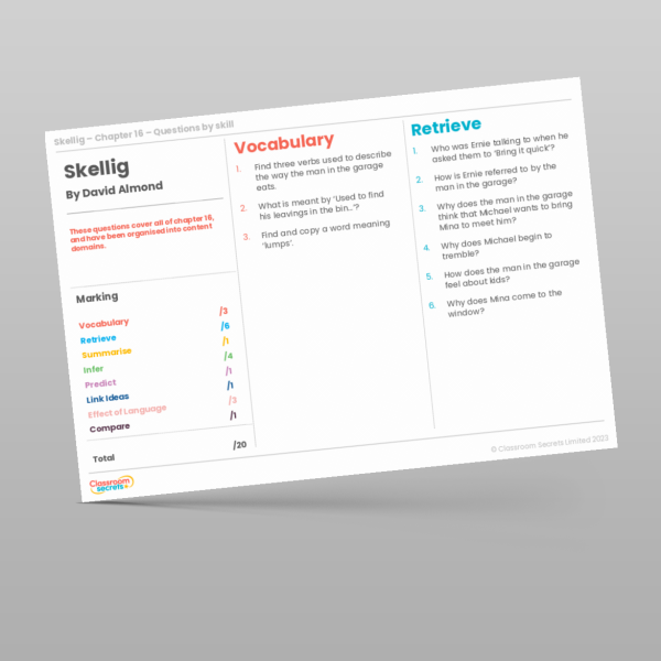 UKS2 Reading Skills Skellig Chapter 16 Resource | Classroom Secrets