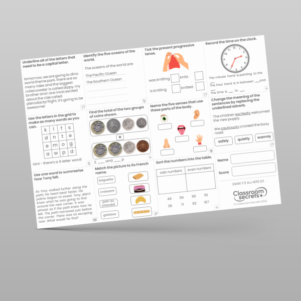 Year 3 Early Morning Work Autumn Week 10 Resource | Classroom Secrets