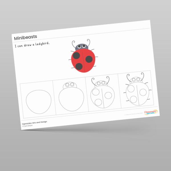 Eyfs Minibeasts I Can Draw Resource | Classroom Secrets