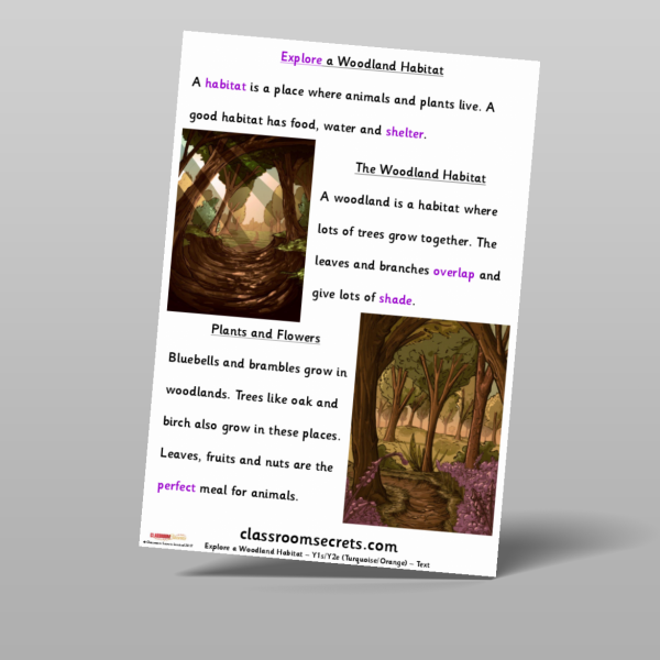 KS1 Explore A Woodland Habitat Orange Turquoise Guided Reading Pack ...