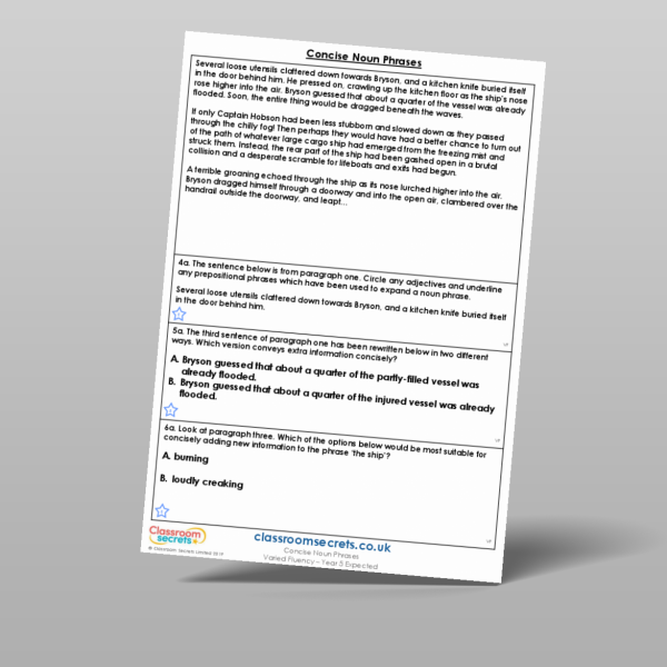 Year 5 Concise Noun Phrases Varied Fluency Resource | Classroom Secrets