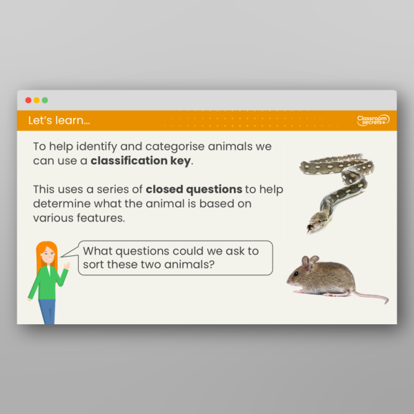 Year 4 What Is A Classification Key Lesson Resource | Classroom Secrets
