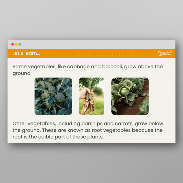 Year 2 Where Does Food Come From Lesson Resource | Classroom Secrets