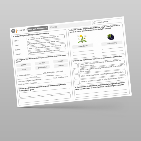 Year 3 Plants Post Unit Assessment Resource | Classroom Secrets