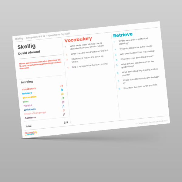 UKS2 Reading Skills Skellig Chapters 9 10 Resource | Classroom Secrets