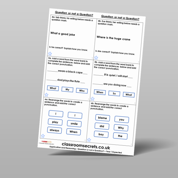 Year 1 Question Or Not A Question Application And Reasoning Resource ...