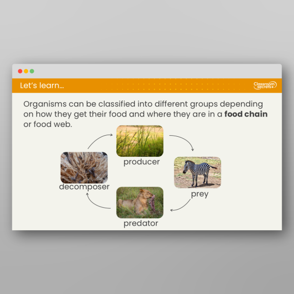 Year 4 Producer Predator Or Prey Lesson Resource | Classroom Secrets