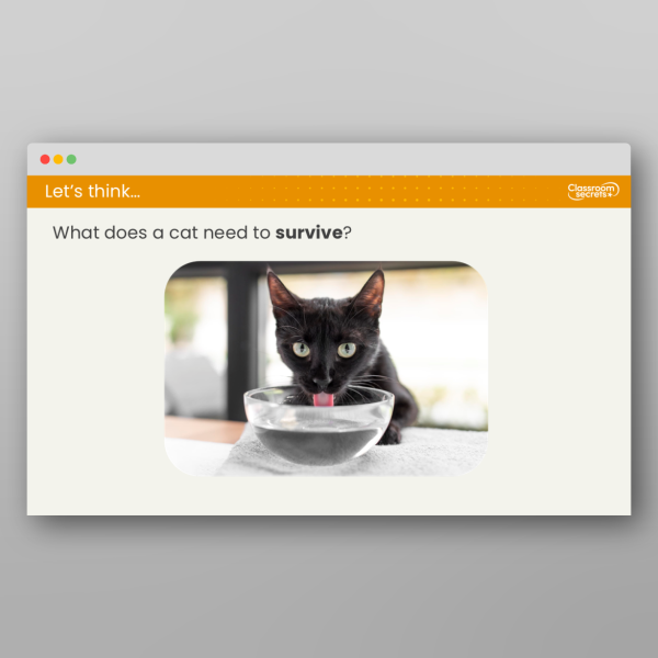Year 2 What Do Living Things Need To Survive Lesson Resource ...