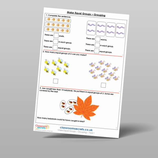 Year 1 Make Equal Groups Grouping Mixed Activity Resource | Classroom ...