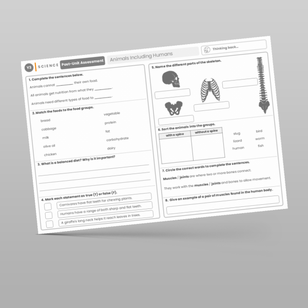 Year 3 Animals Including Humans Post Unit Assessment Resource ...