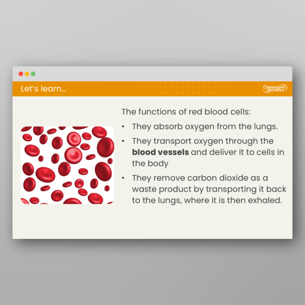 Year 6 What Role Does Blood Have In The Body Lesson Resource ...