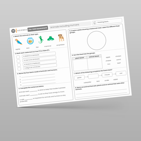 Year 3 Animals Including Humans Pre Unit Assessment Resource ...