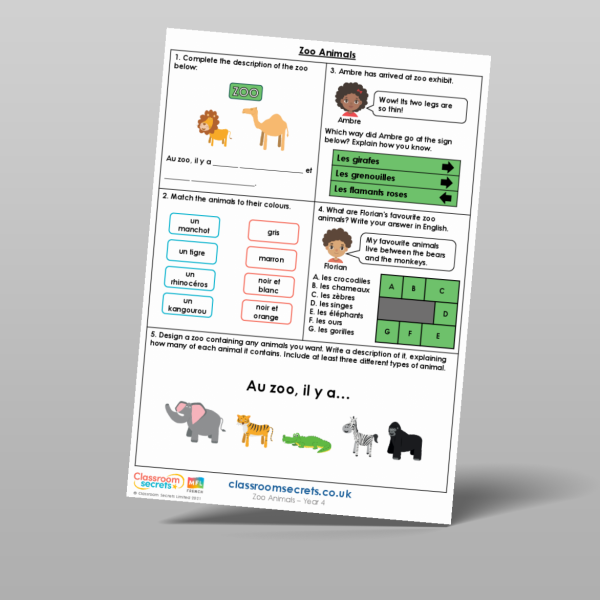 Year 4 Zoo Animals Main Activity Resource | Classroom Secrets