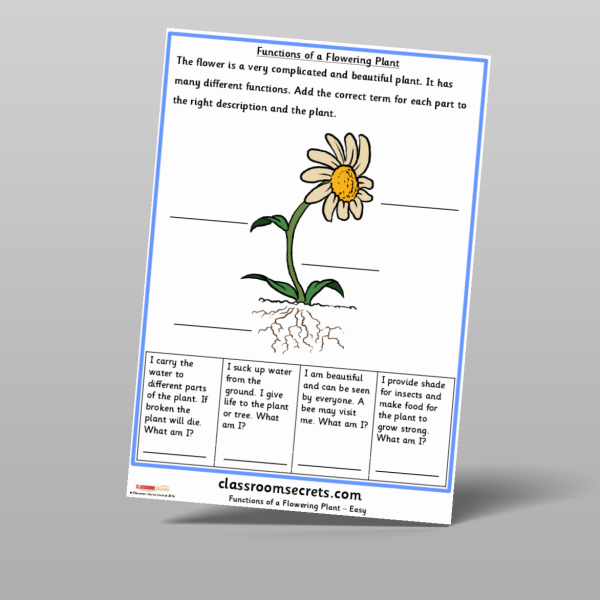 Year 3 Functions Of A Flowering Plant Activity Resource | Classroom Secrets