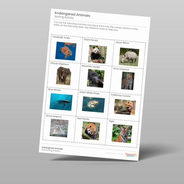 KS2 Endangered Animals Sorting Activity Resource | Classroom Secrets