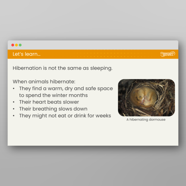 Year 1 How Do The Seasons Affect Animals Lesson Resource | Classroom ...