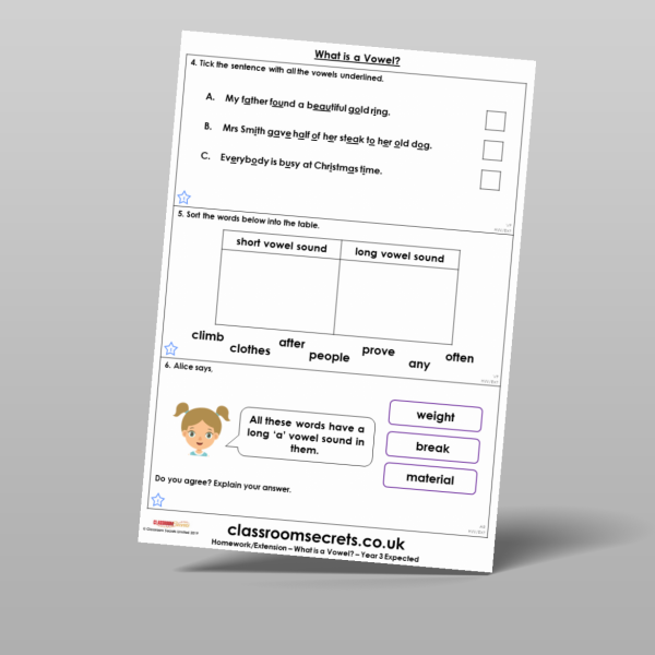 Year 3 What Is A Vowel Homework Resource | Classroom Secrets