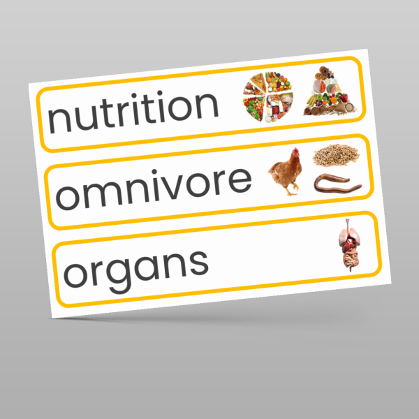 Year 3 Animals Including Humans Display Pack Resource | Classroom Secrets