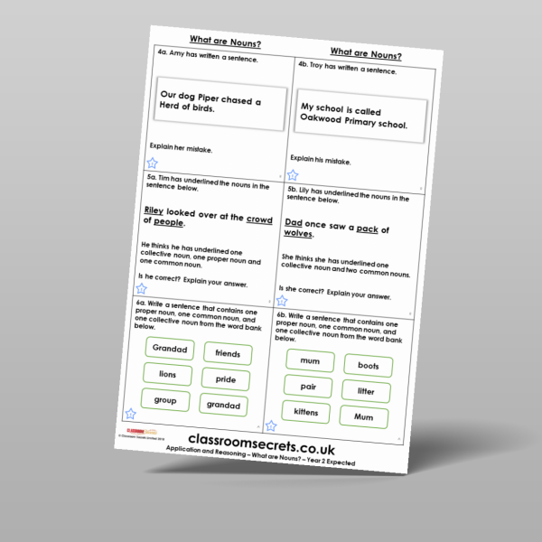 Year 2 What Are Nouns Application And Reasoning Resource | Classroom ...