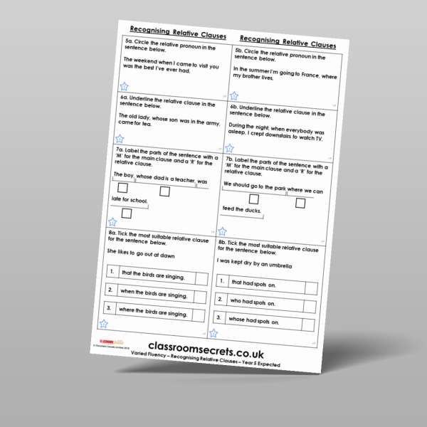 Year 5 Recognising Relative Clauses Varied Fluency Resource | Classroom ...