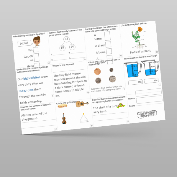 Year 2 Early Morning Work Summer Week 12 Resource | Classroom Secrets