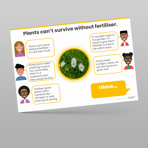 Year 3 Plants Concept Cartoons Resource | Classroom Secrets
