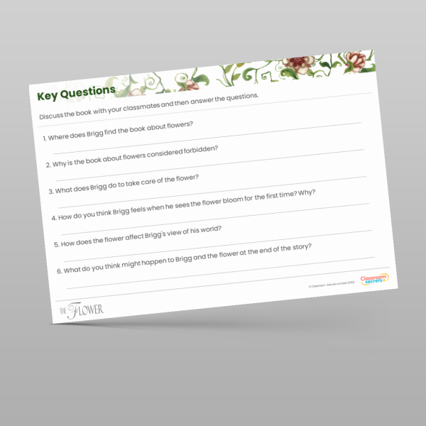 Year 3 The Flower Writing Unit Key Questions Resource | Classroom Secrets