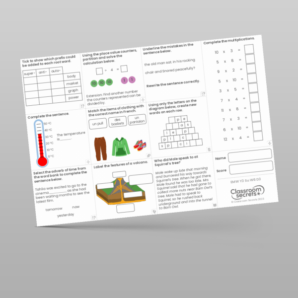 Year 3 Early Morning Work Summer Week 6 Resource | Classroom Secrets