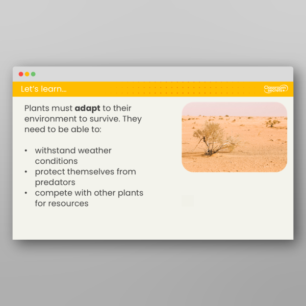 Year 6 How Have Plants Adapted Lesson Resource | Classroom Secrets