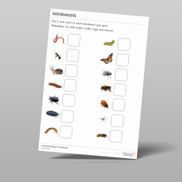Eyfs Minibeasts Bug Hunt Resource | Classroom Secrets