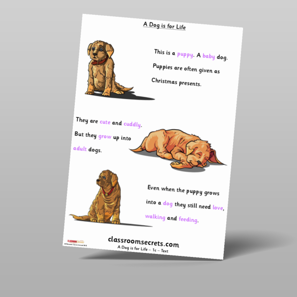 KS1 A Dog Is For Life Yellow Guided Reading Pack Resource | Classroom ...