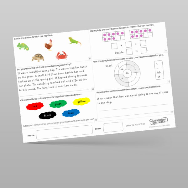 Year 2 Early Morning Work Autumn Week 11 Resource | Classroom Secrets