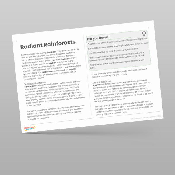 Year 3 Reading Skills Radiant Rainforests Resource | Classroom Secrets