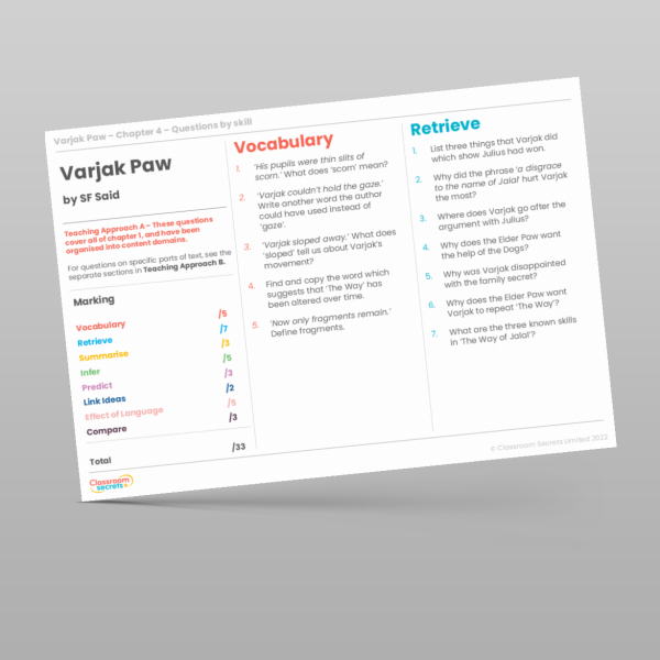 LKS2 Reading Skills Varjak Paw Chapter 5 Resource | Classroom Secrets
