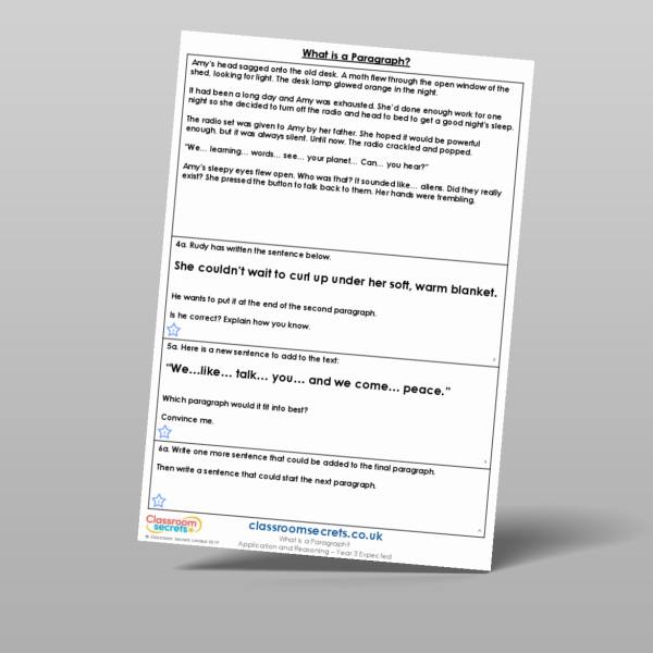 Year 3 What Is A Paragraph Application And Reasoning Resource ...