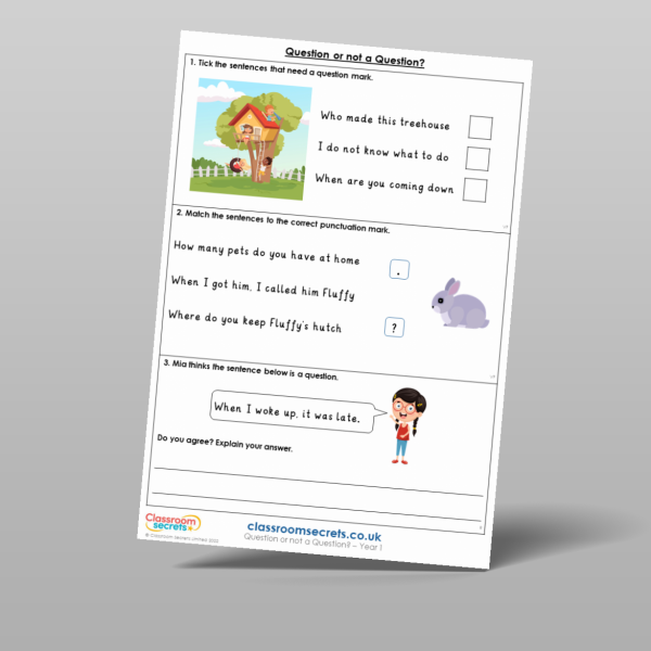 Year 1 Question Or Not A Question Mixed Activity Resource | Classroom ...