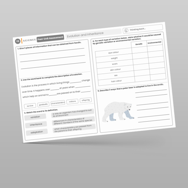Year 6 Evolution And Inheritance Post Unit Assessment Resource ...