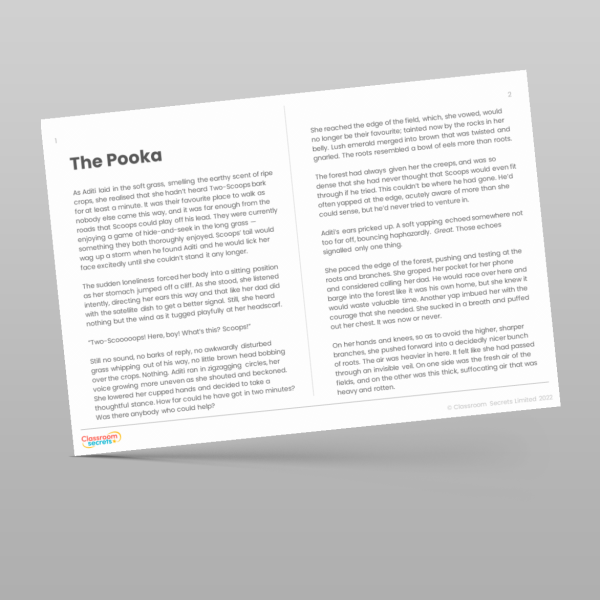 Year 6 Reading Skills The Pooka Resource | Classroom Secrets