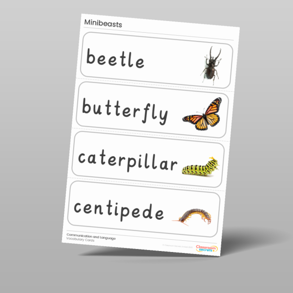 Eyfs Minibeasts Vocabulary Cards Resource | Classroom Secrets